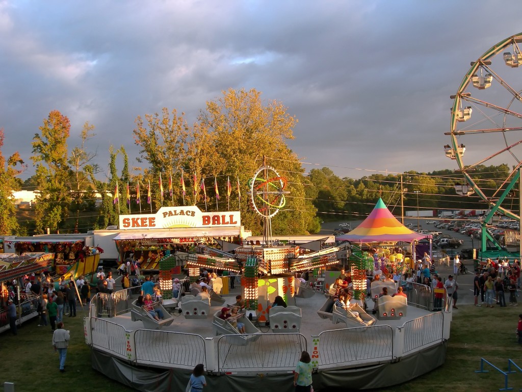 country fair - Molnar's Concessions